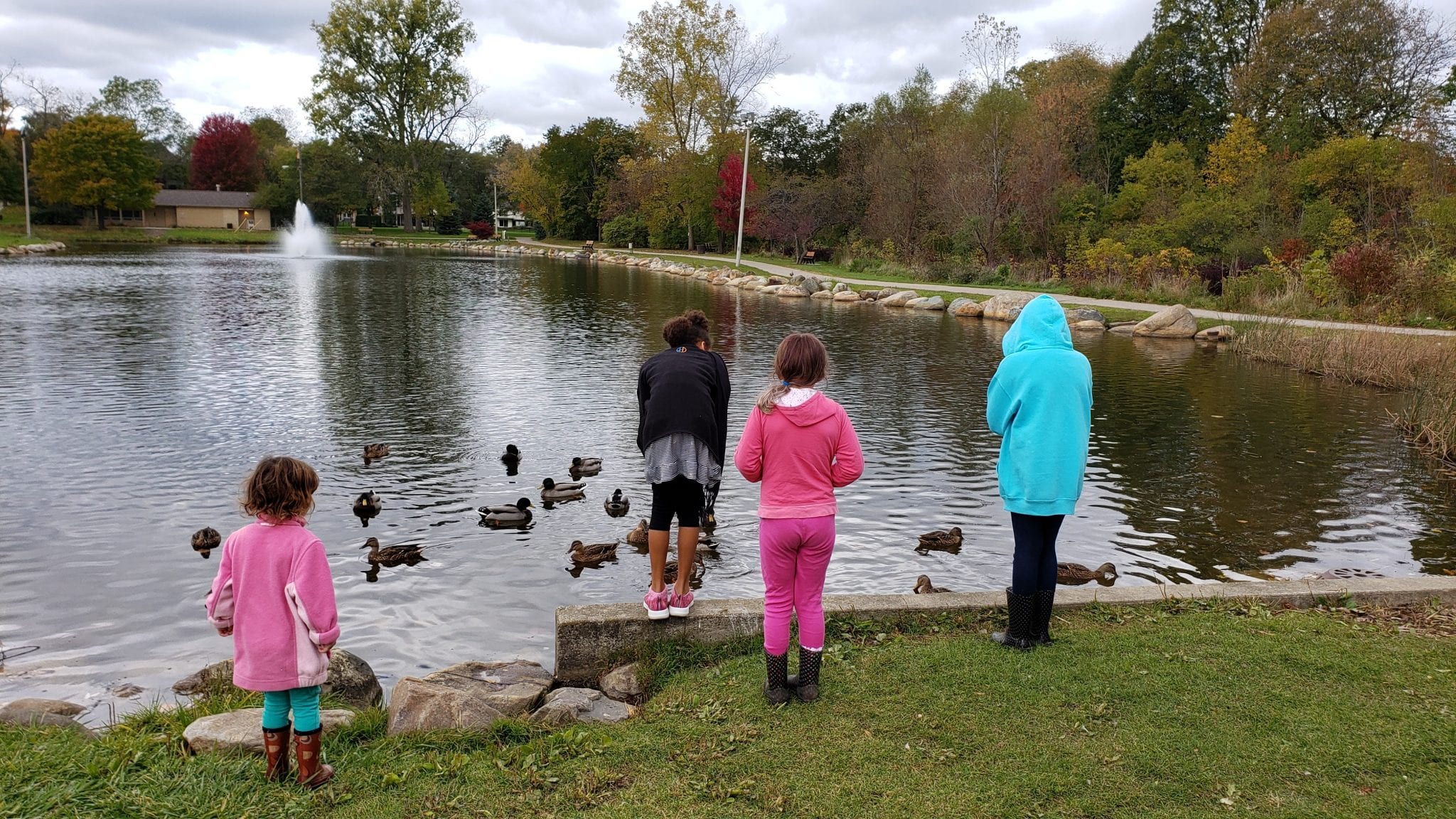 Things to do at Rochester Municipal Park Visitor's Guide