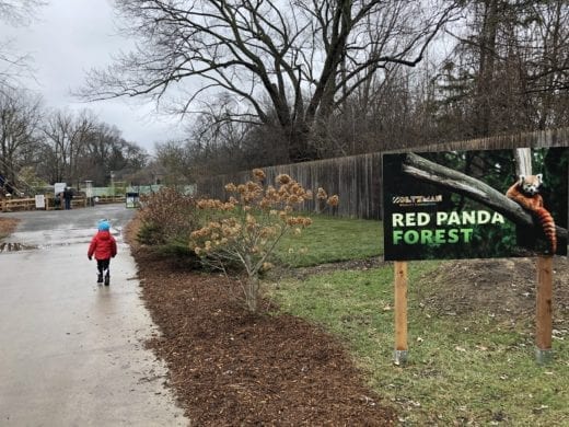 Why Visit the Detroit Zoo in the Winter Months? | Metro Detroit Mommy