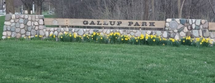 Centennial Universal Access Playground at Gallop Park in Ann Arbor ...
