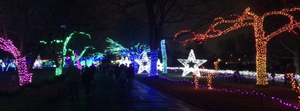 Wild Lights At The Detroit Zoo 2019 тлж Metro Detroit Mommy