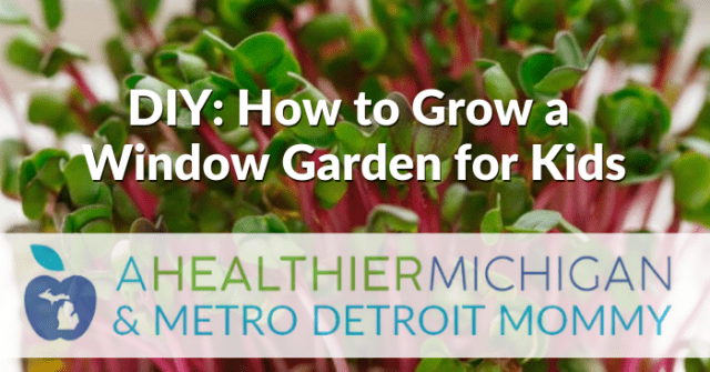 DIY: How to Grow a Window Garden for Kids | Metro Detroit Mommy