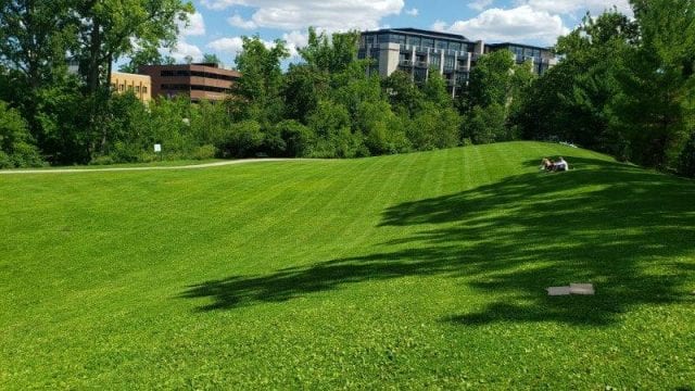 Castle Playground Adventures at Booth Park - Birmingham
