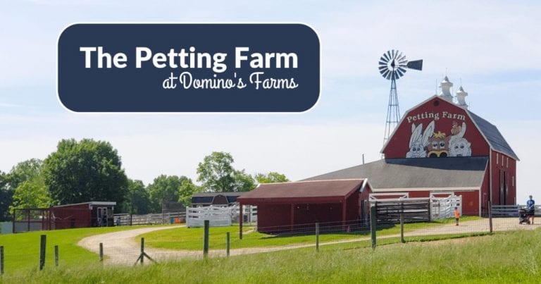 The Petting Farm at Domino's Farms in Ann Arbor | Metro Detroit Mommy