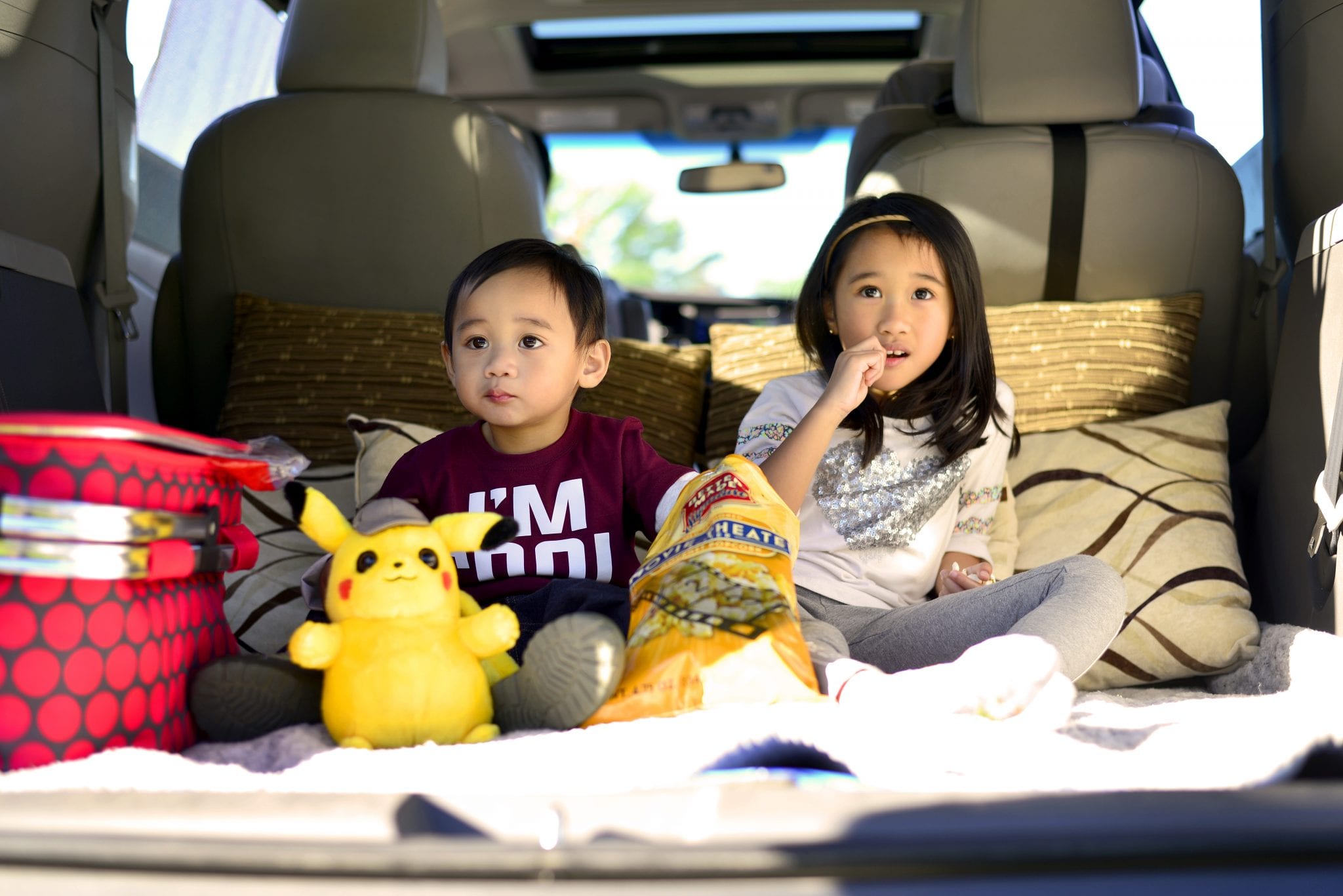 Macomb County Drive-In Movies at Freedom Hill - Summer Family Fun