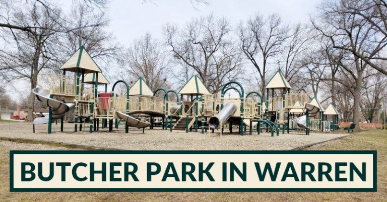 The Massive Playground at Butcher Park in Warren