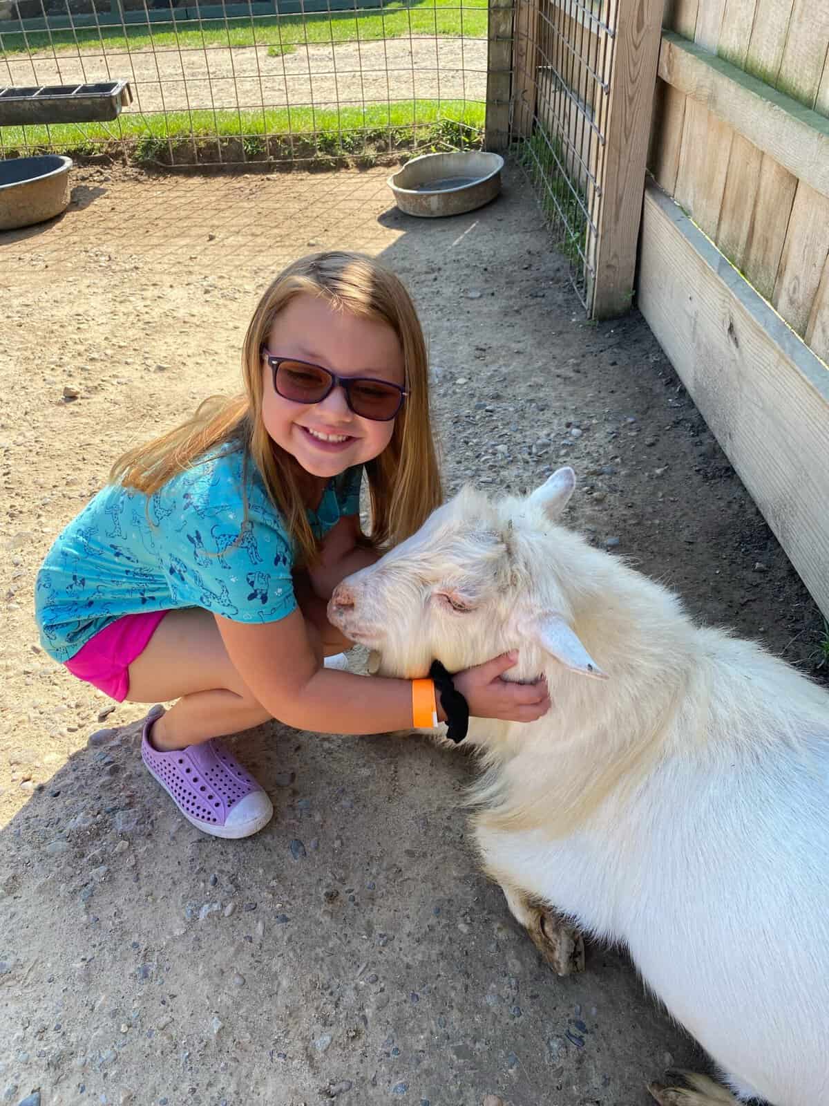 Carousel Acres Petting Farm: Amazing Day of Family Fun | Metro Detroit ...