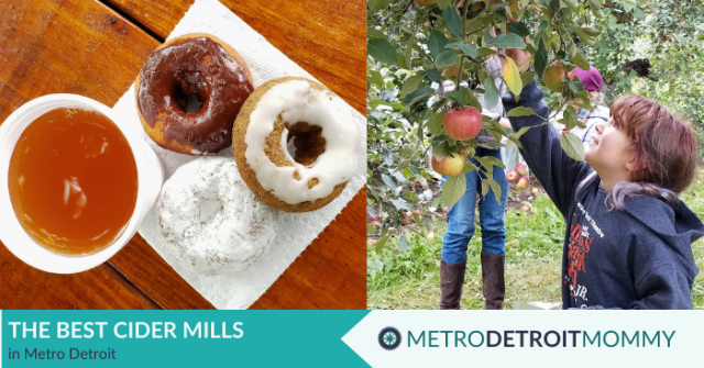 Launch Dearborn: New Trampoline Park -Bouncing into Fun! | Metro ...