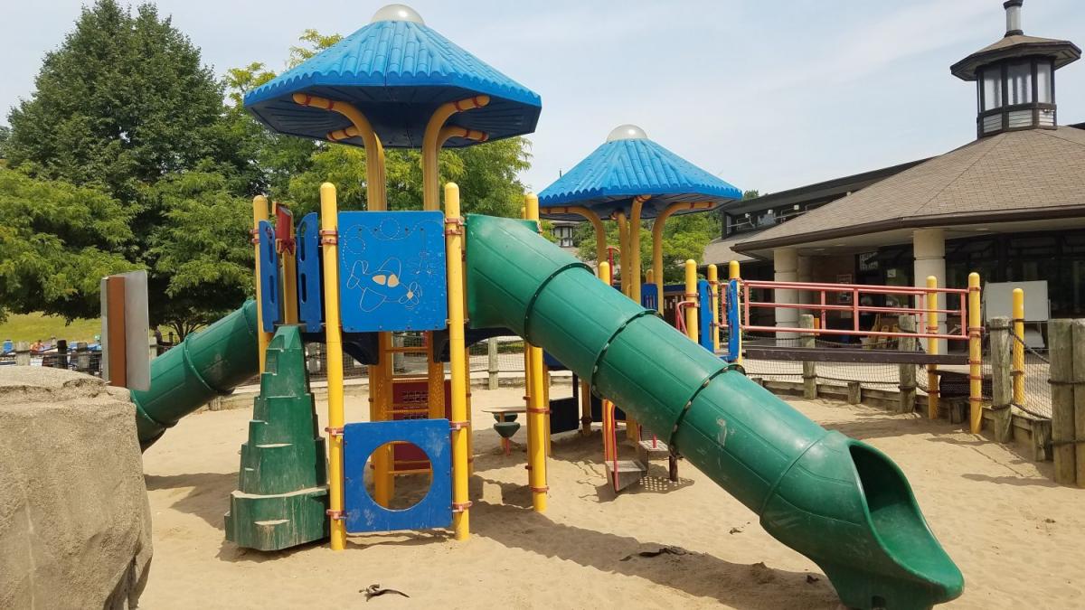 Troy Family Aquatic Center | Metro Detroit Mommy